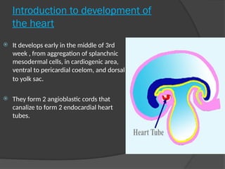 DEVELOPMENT OF INTERATRIAL AND INTERVENTRICULAR SEPTUM DR HIMANSHU.pptx
