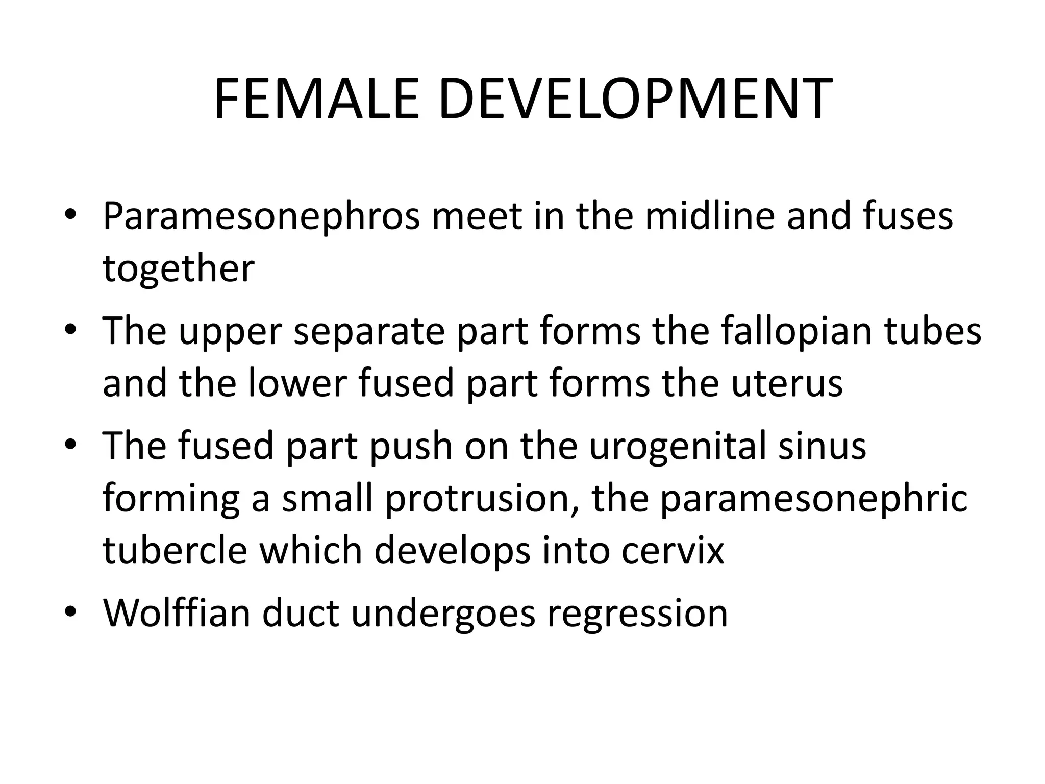 DEVELOPMENT OF INTERNAL GENITALIA.pptx