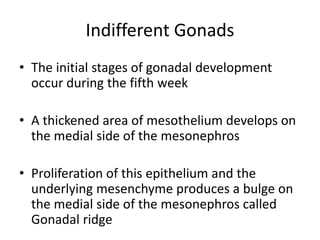 DEVELOPMENT OF INTERNAL GENITALIA.pptx
