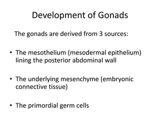 DEVELOPMENT OF INTERNAL GENITALIA.pptx