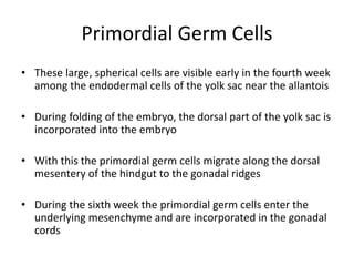 DEVELOPMENT OF INTERNAL GENITALIA.pptx
