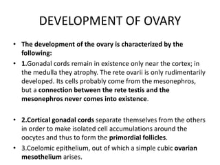 DEVELOPMENT OF INTERNAL GENITALIA.pptx