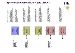 Information Technology Development | PDF