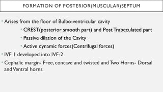 Development of Interventricular septum.pptx