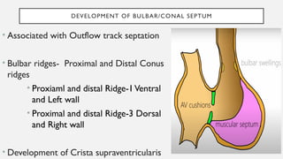 Development of Interventricular septum.pptx