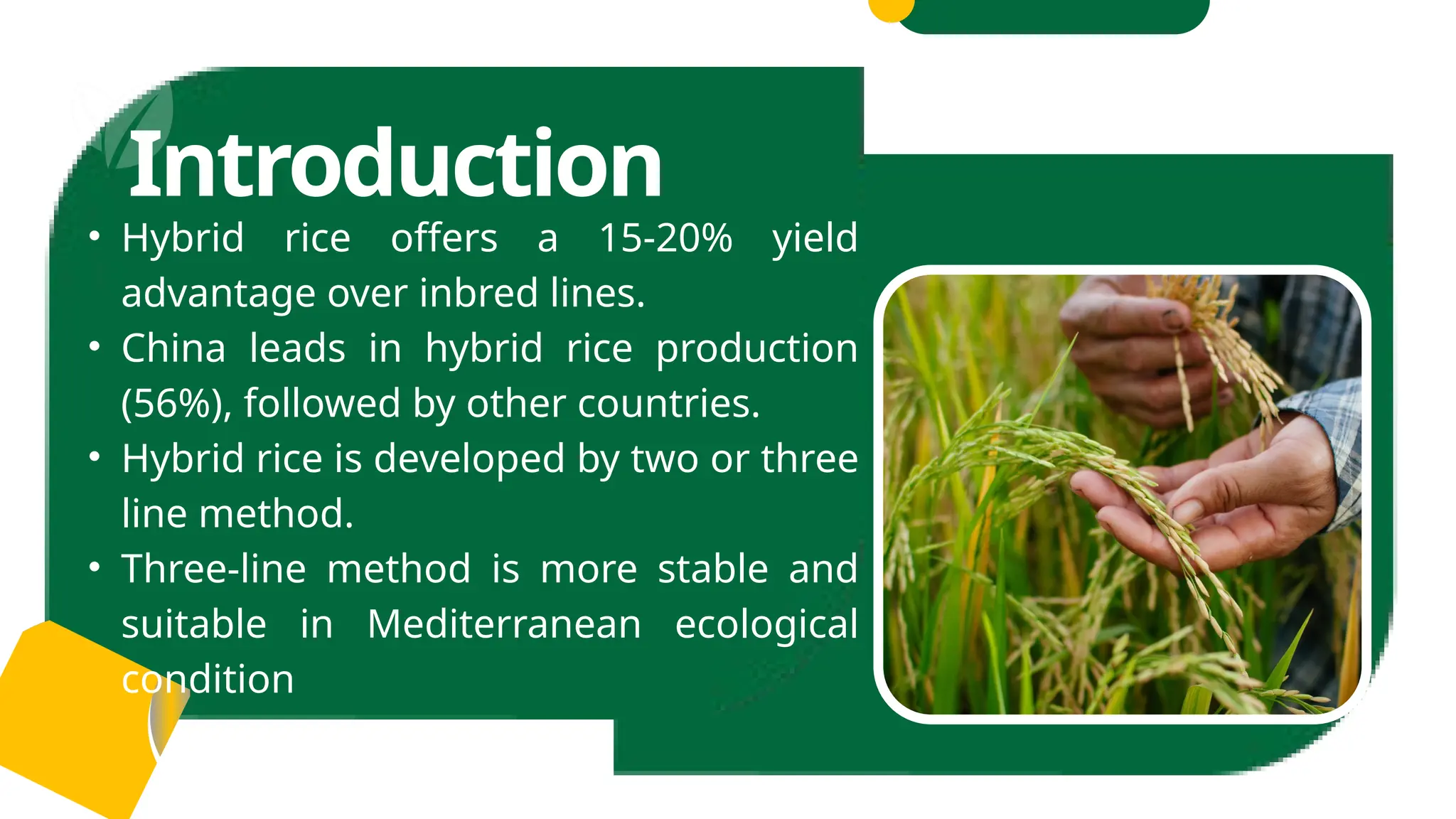 DEVELOPMENT OF JAPONICA TYPE CYTOPLASMIC MALE STERILE (CMS) RICE LINES ...