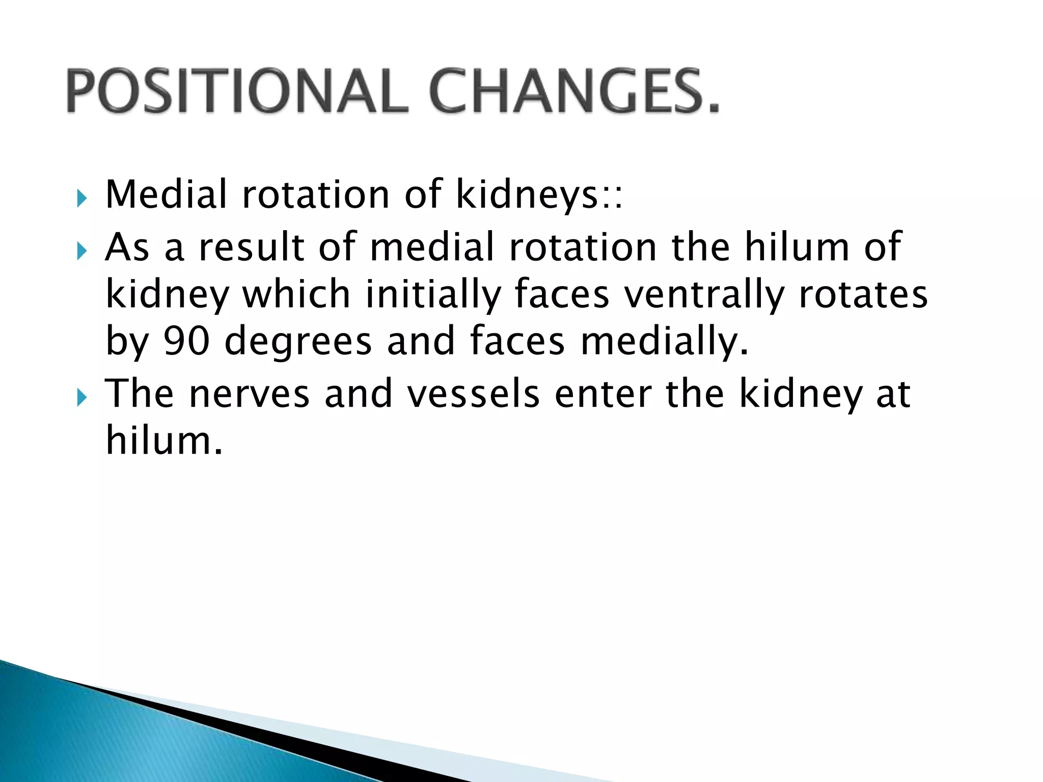 Development of kidney | PPTX