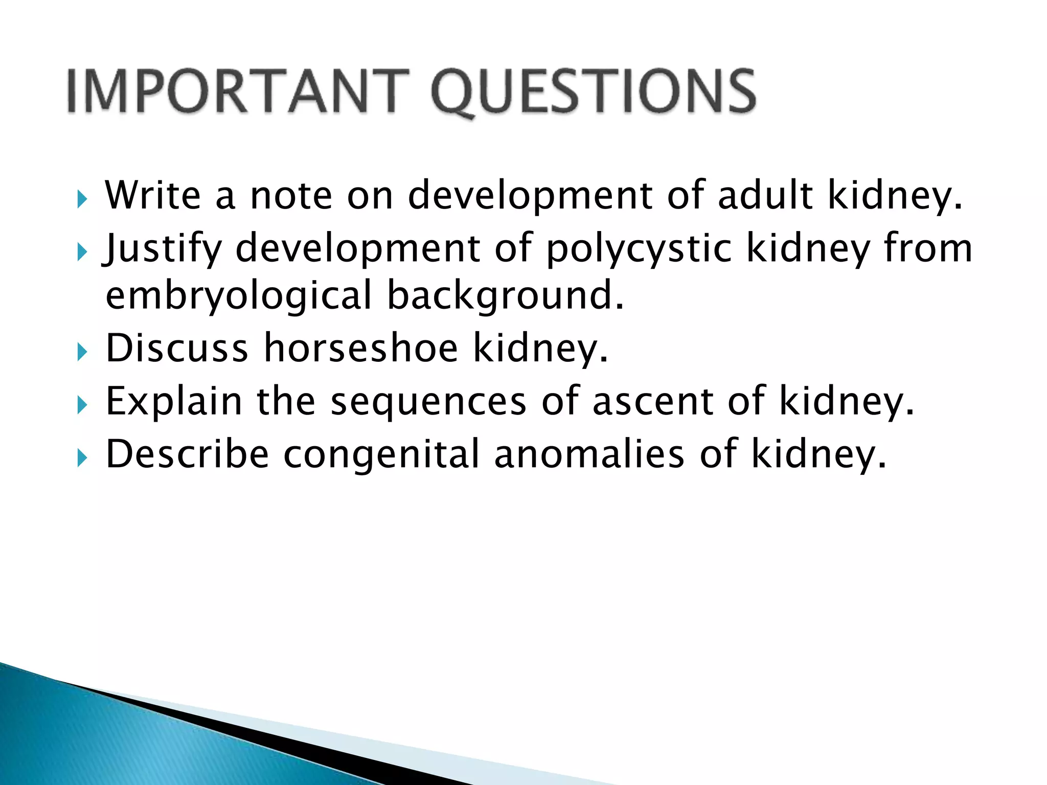 Development of kidney | PPTX