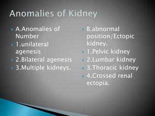 Development of kidney | PPTX