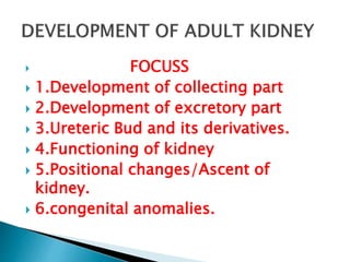 Development of kidney | PPTX