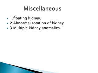 Development of kidney | PPTX