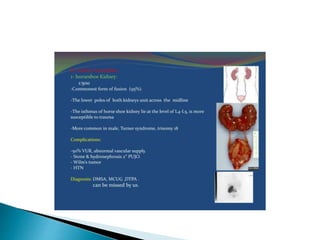 Development of kidney | PPTX