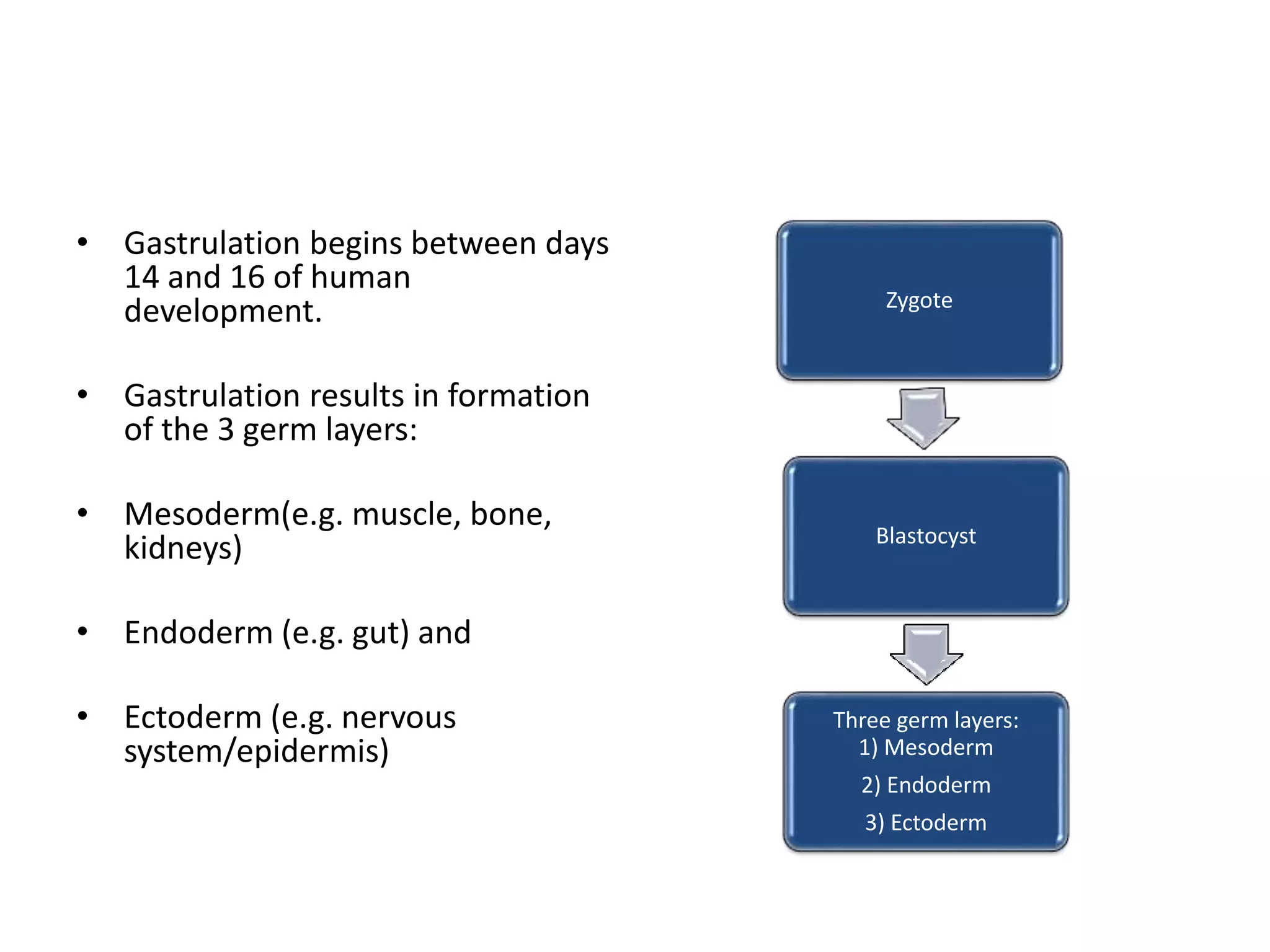 Development of kidney & its anomalies | PPTX