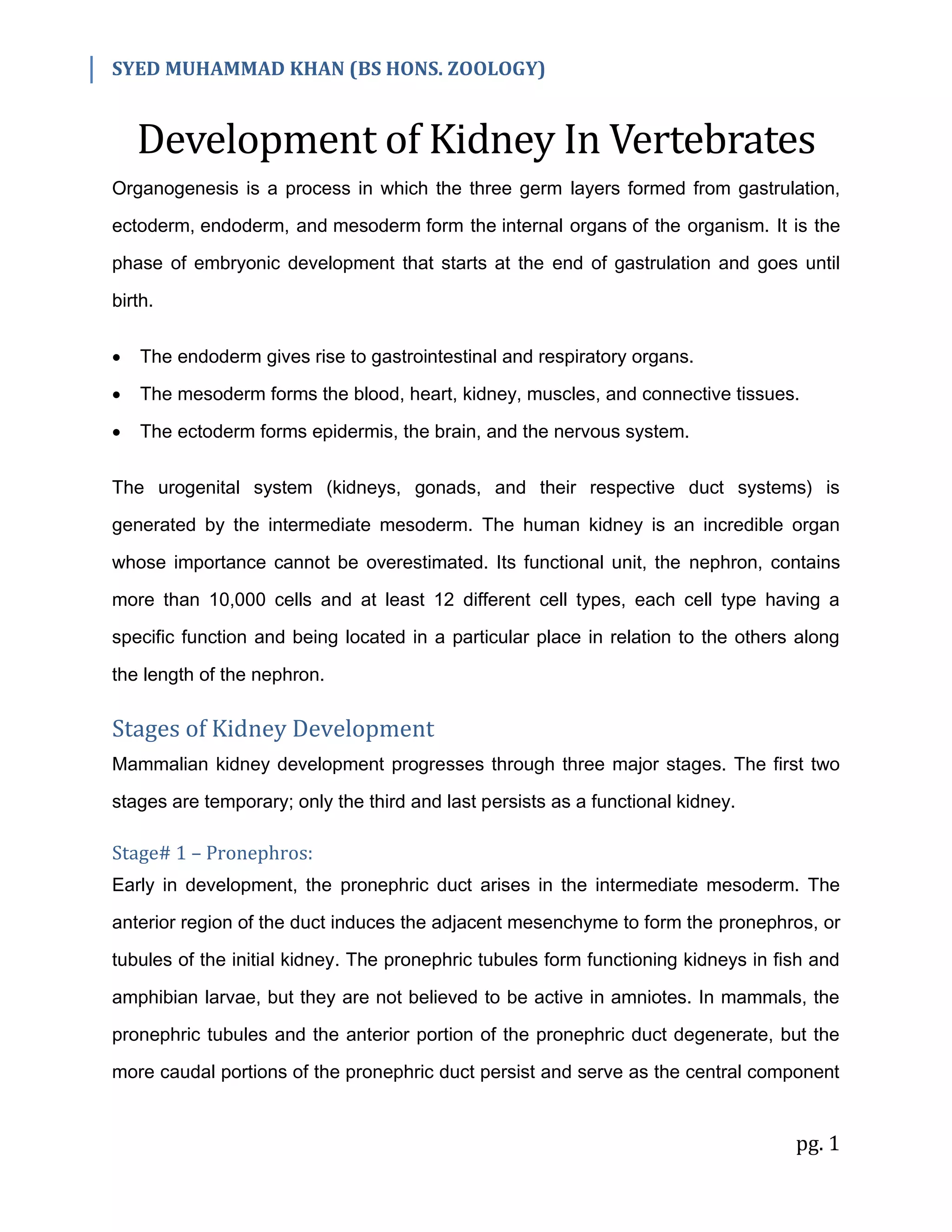 Development of Kidney In Vertebrates | PDF