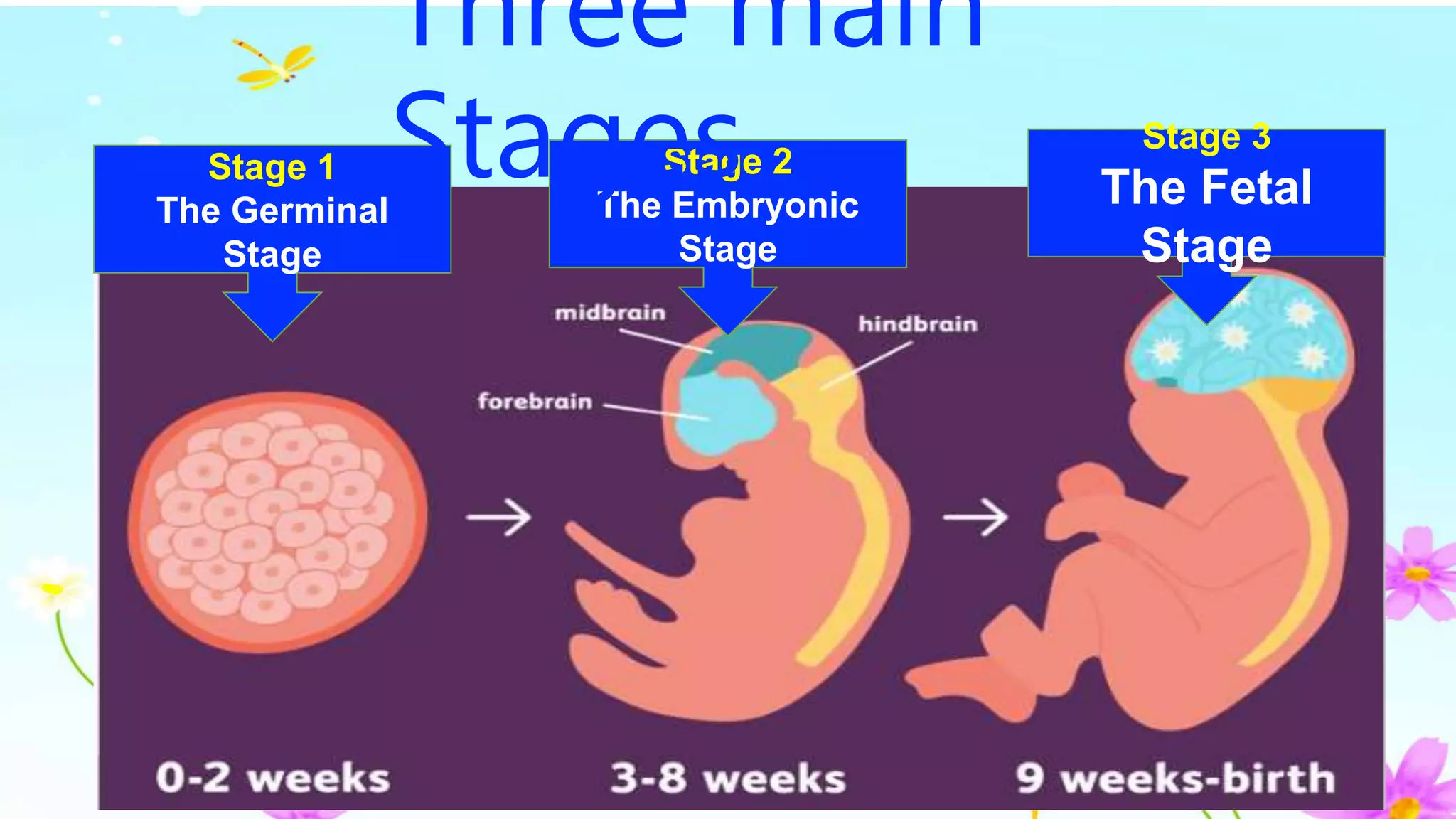 Development of Learners at Various Stage by Annah Belgira.pptx