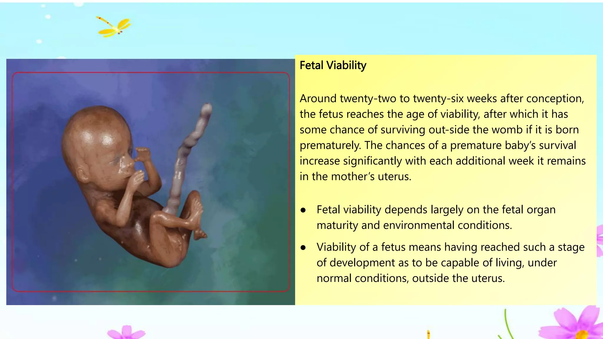 Development of Learners at Various Stage by Annah Belgira.pptx
