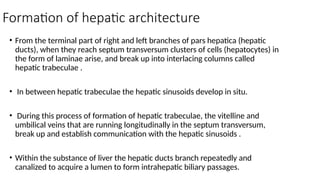 Development of Liver and billiarry system | PPTX