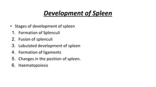 Development of liver , extrahepatic biliary apparatus , pancreas and ...
