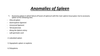 Development of liver , extrahepatic biliary apparatus , pancreas and ...