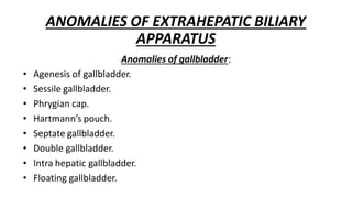 Development of liver , extrahepatic biliary apparatus , pancreas and ...