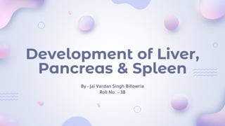 Development of liver, pancreas & spleen - ROLL NO. 38.pptx