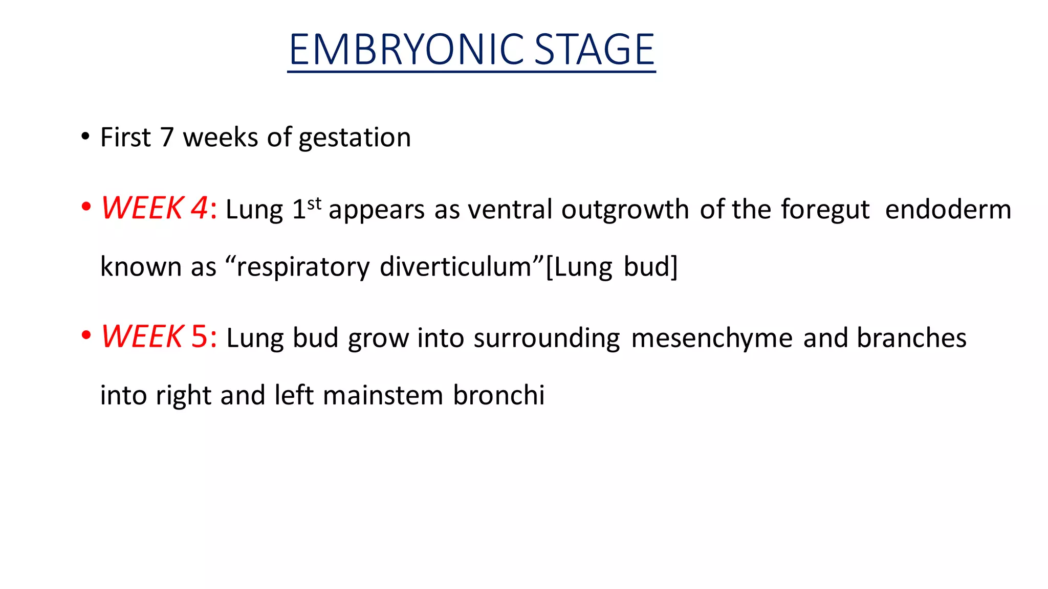 DEVELOPMENT OF LUNG.pdf