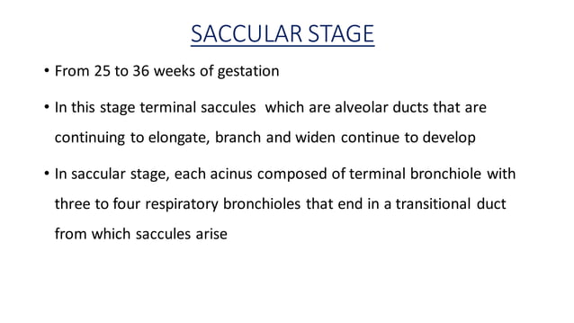 DEVELOPMENT OF LUNG.pdf