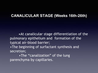 Development of lung and related abnormalities | PPTX
