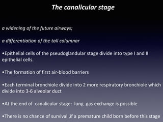 Development of lung and related abnormalities | PPTX