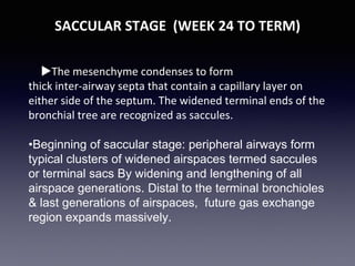Development of lung and related abnormalities | PPTX