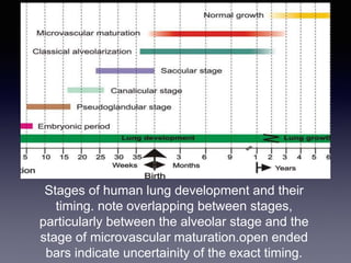 Development of lung and related abnormalities | PPTX