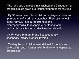 Development of lung and related abnormalities | PPTX