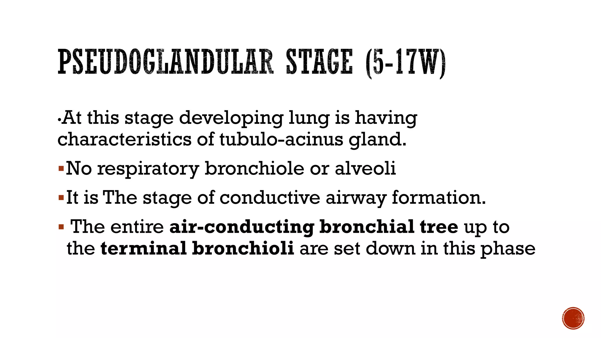 Development of lungs & pulmonary function tests | PDF