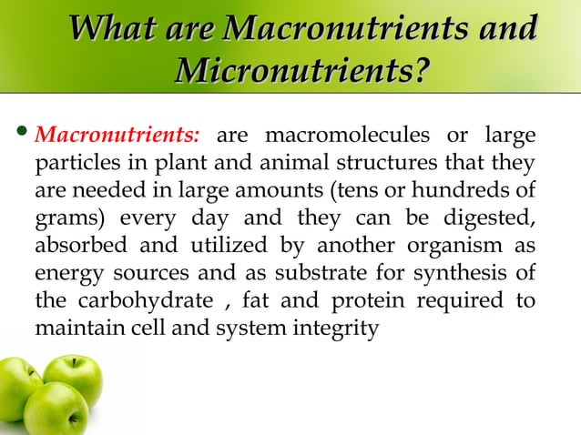 Development of Macronutrients of food.ppt | Free Download