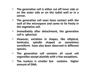 Development of male gametophyte | PPTX
