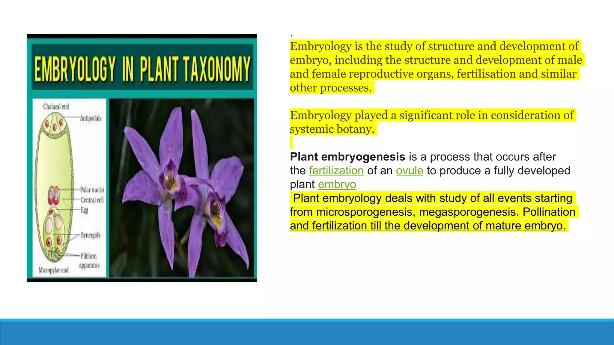 Development of male gametophyte | PPTX