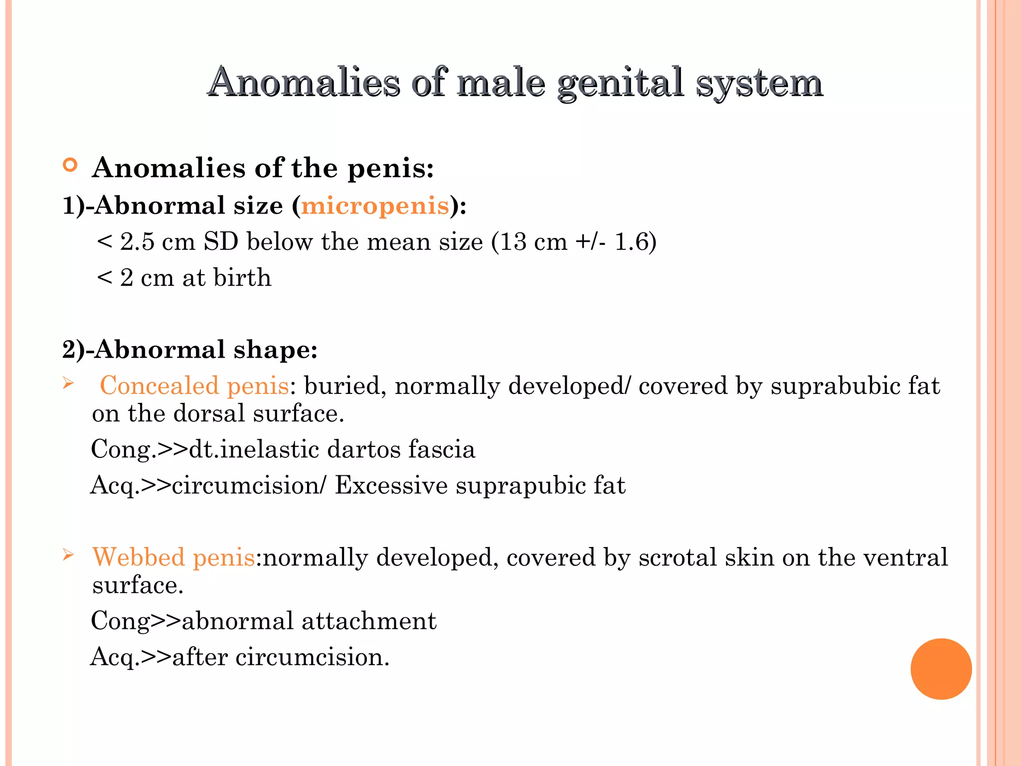Development of male genital system | PPT