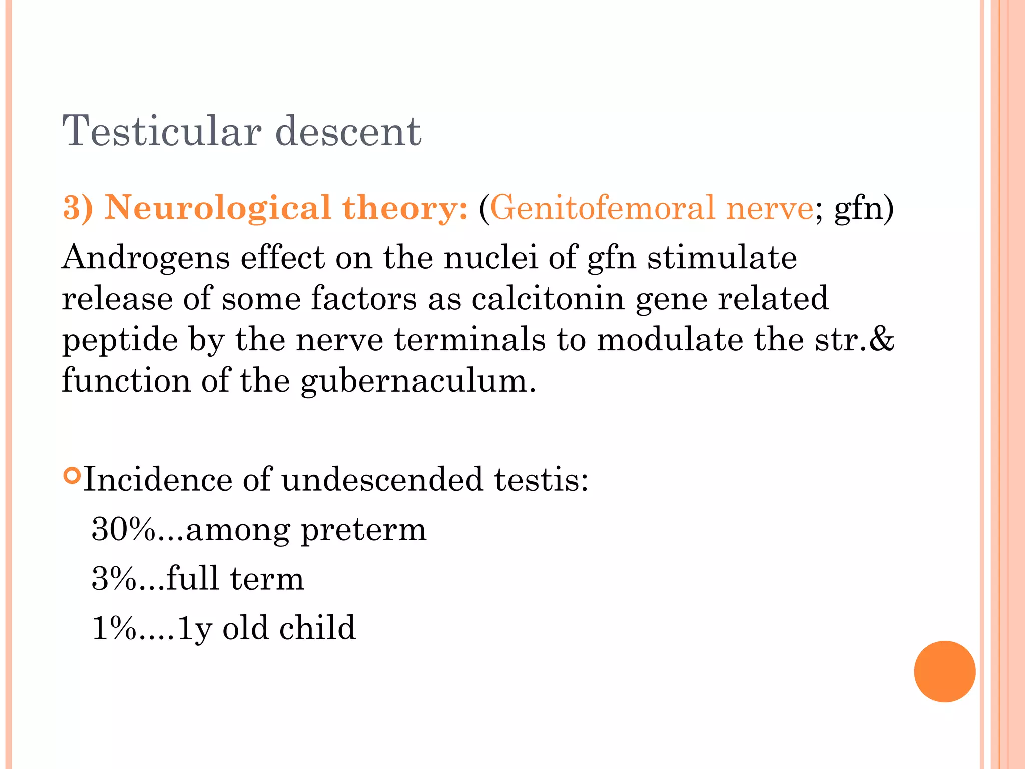 Development of male genital system | PPT
