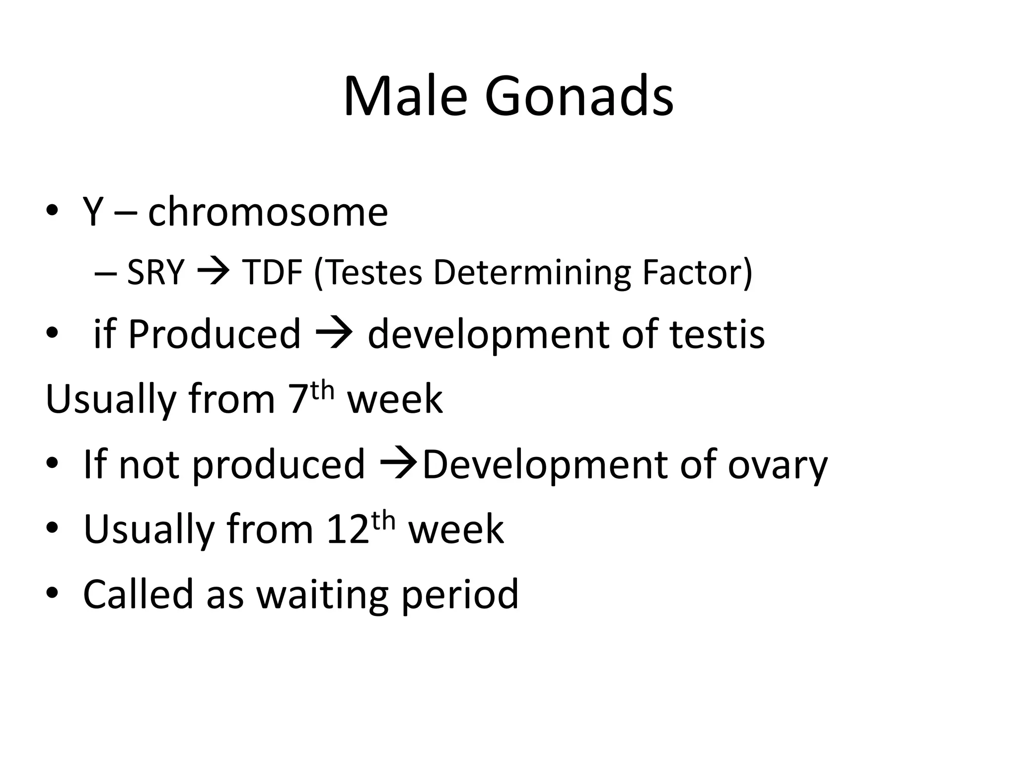 Development of male genital system (MBBS) | PPTX