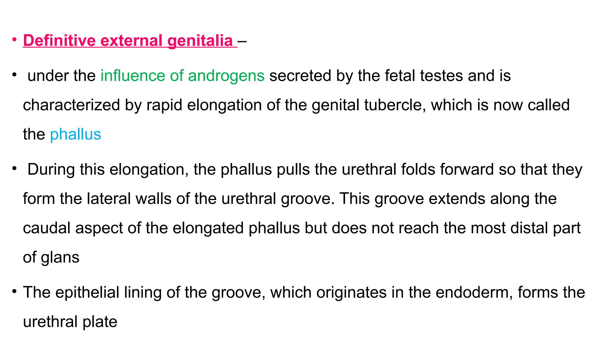 Development of male reproductive system.pptx