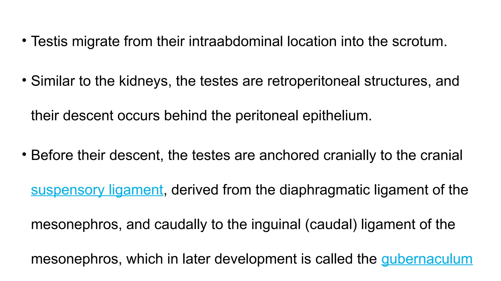 Development of male reproductive system.pptx