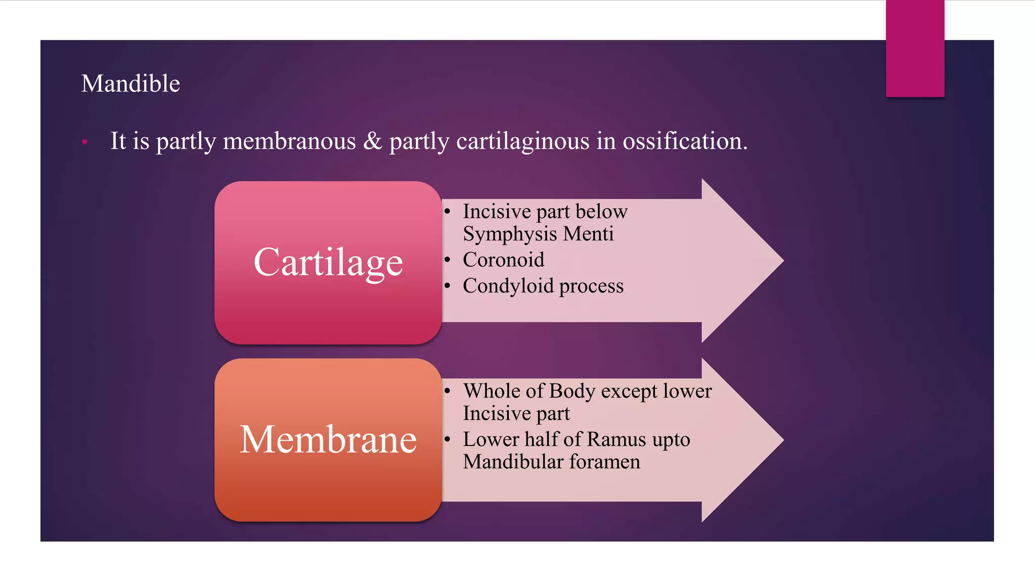Development of mandible | PPTX