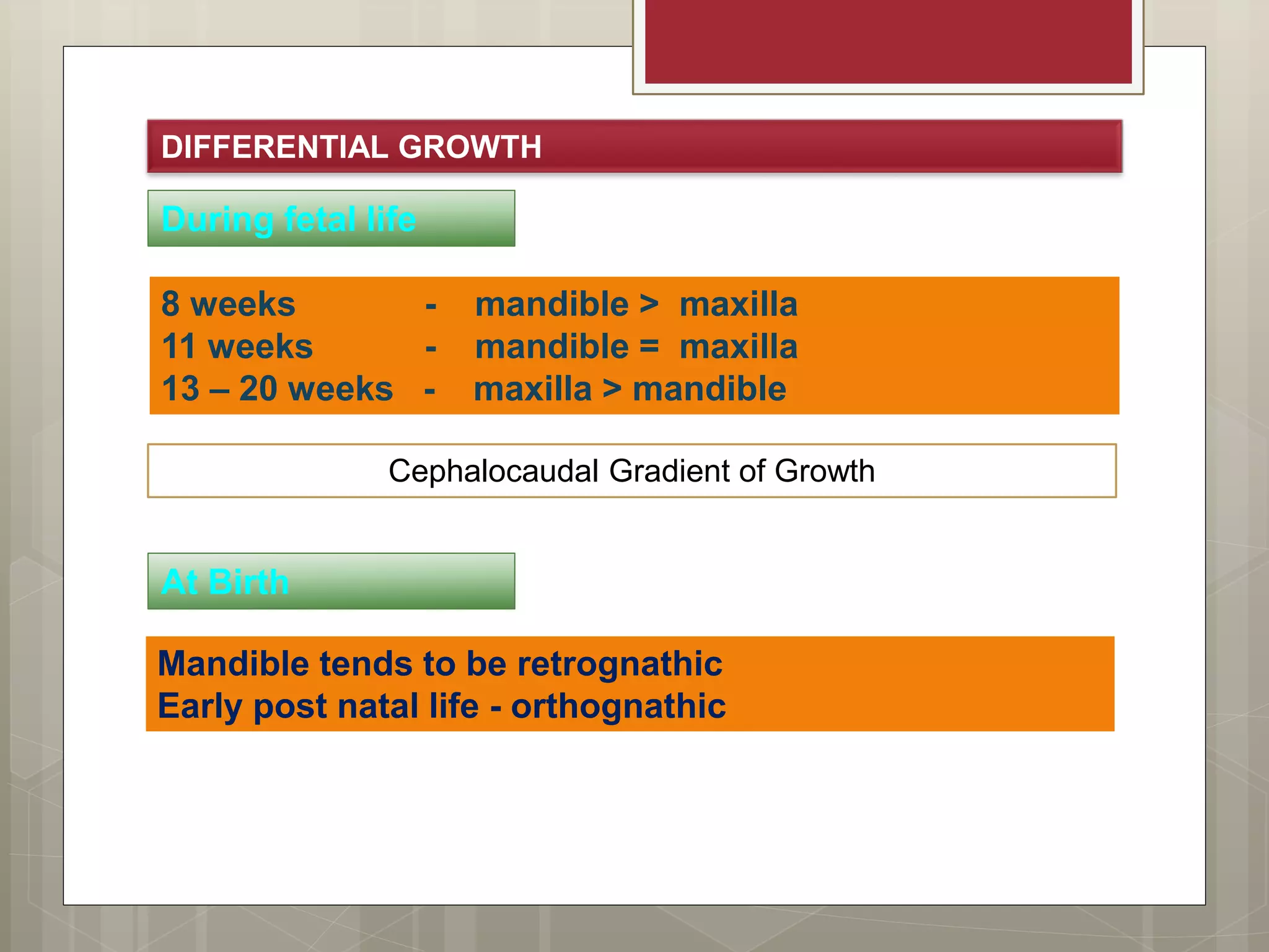Development of mandible | PPTX