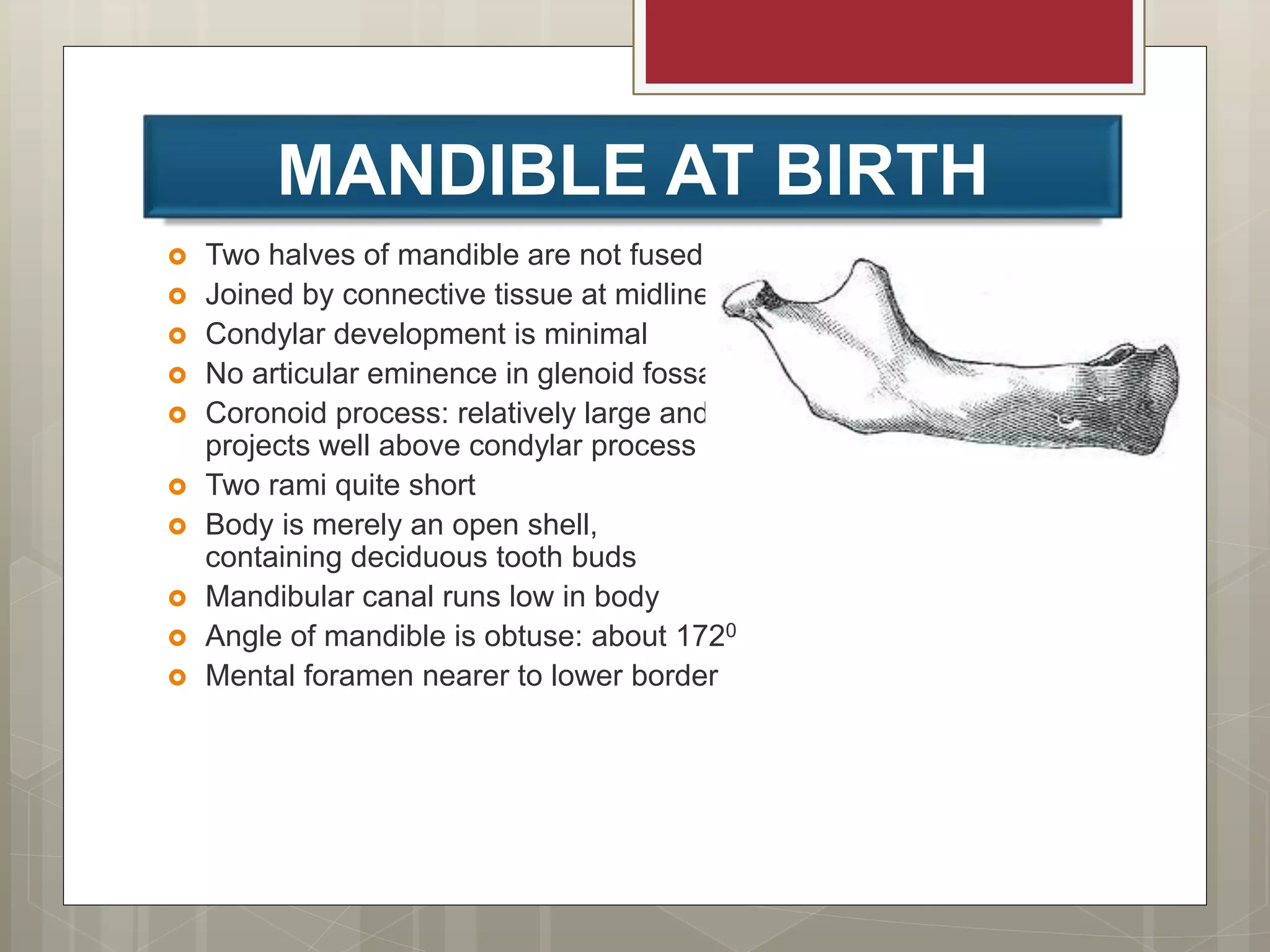 Development of mandible | PPTX
