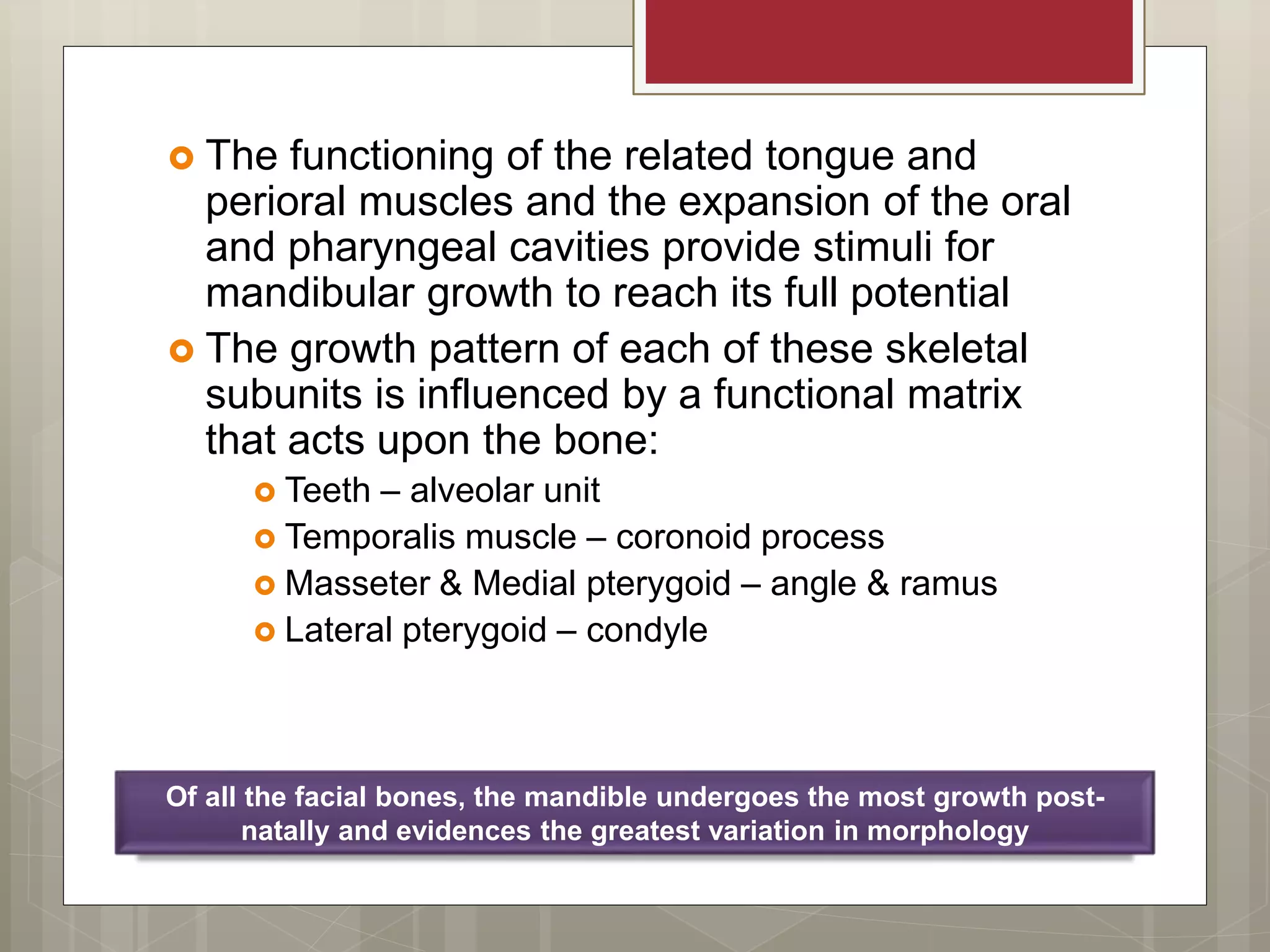 Development of mandible | PPTX