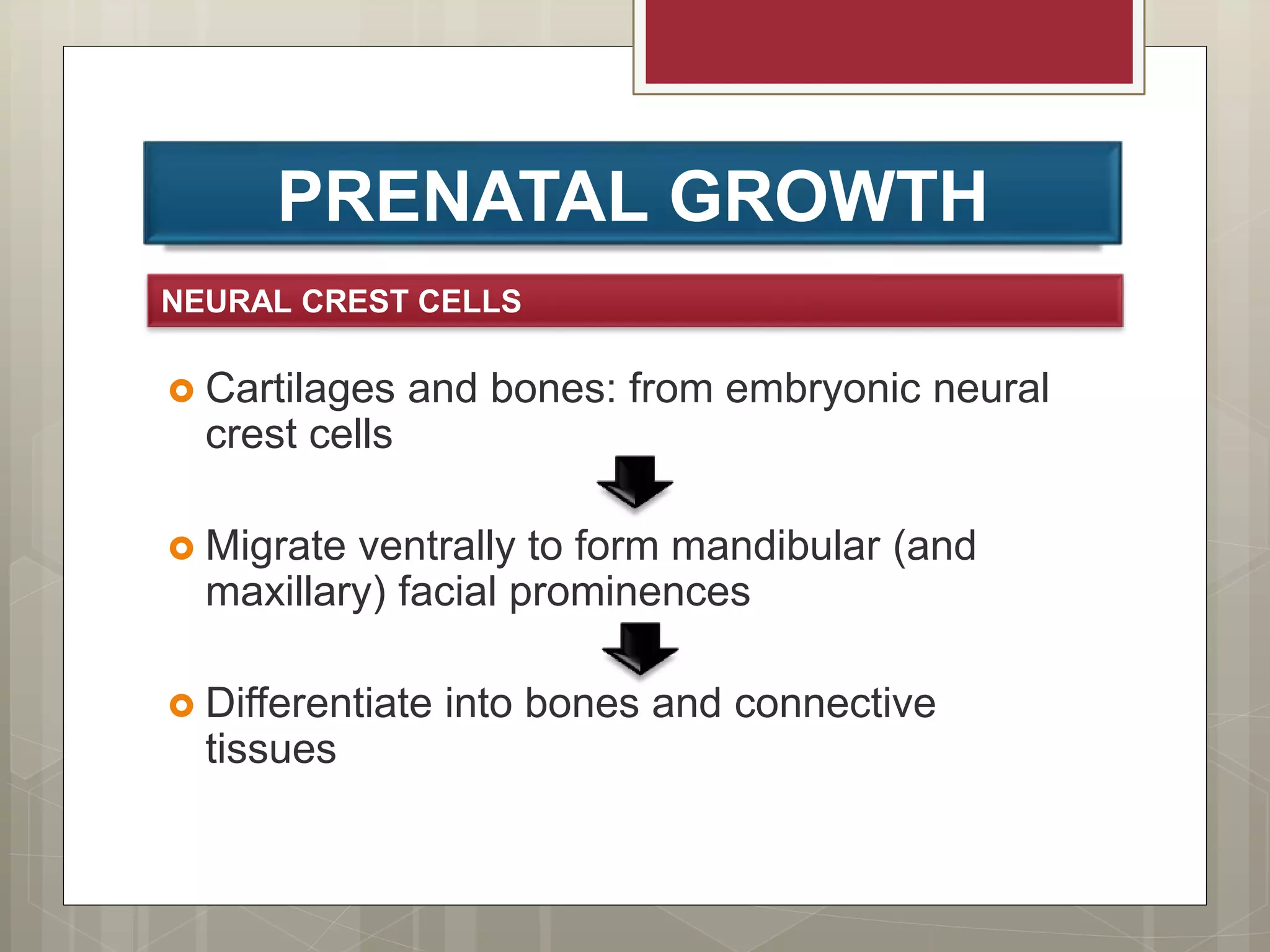 Development of mandible | PPTX