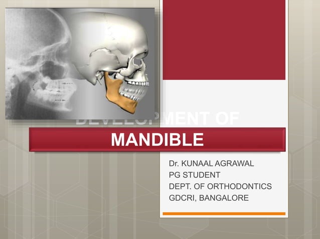 Development of mandible | PPTX | Dental Health | Diseases and Conditions