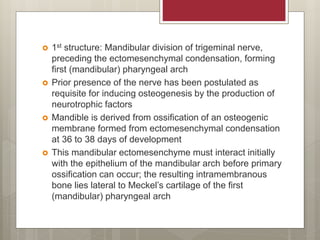 Development of mandible | PPTX