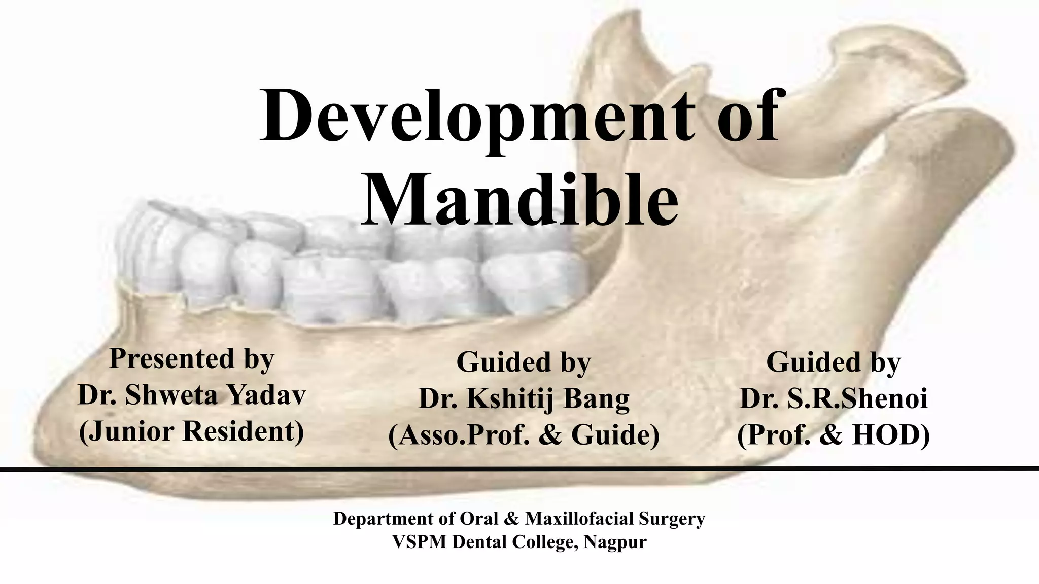 Development of mandible - Dr. Shweta Yadav - Oral and Maxillofacial ...