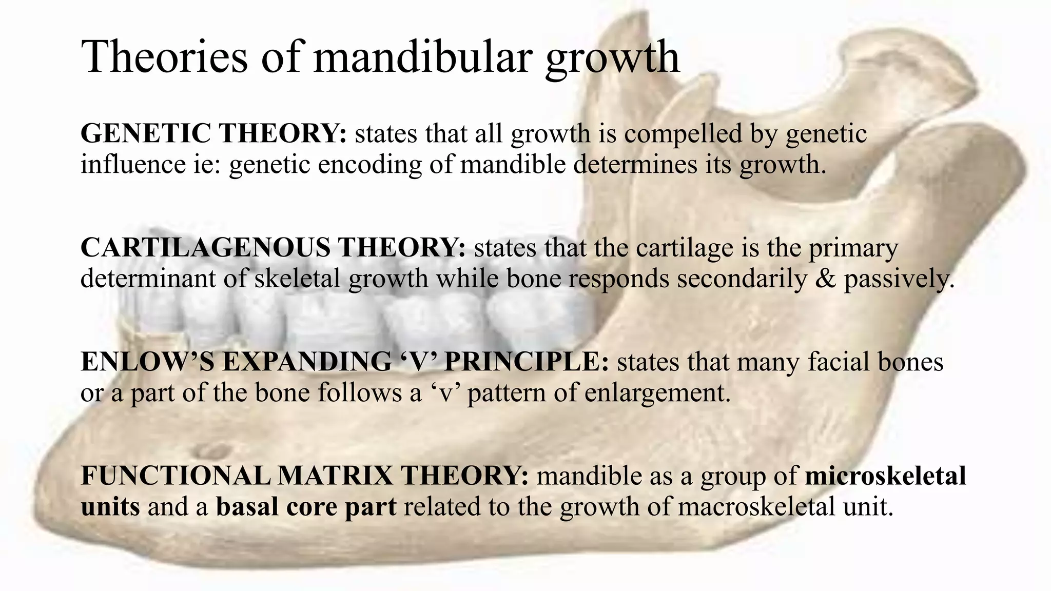 Development of mandible - Dr. Shweta Yadav - Oral and Maxillofacial ...